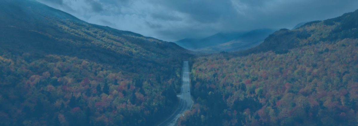 Pro-ACT – Professional Assault Crisis Training